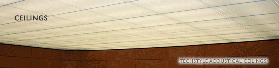AECinfo.com News: Suspended ceiling systems